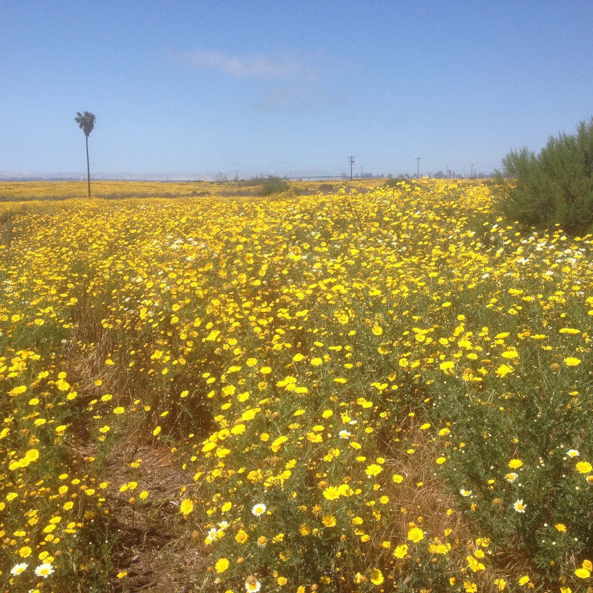 Worship Team Dress Codes?? – Adore the Lord